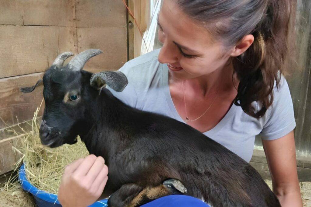 The 11 Most Helpful Animals on Earth—Should You Get One ...