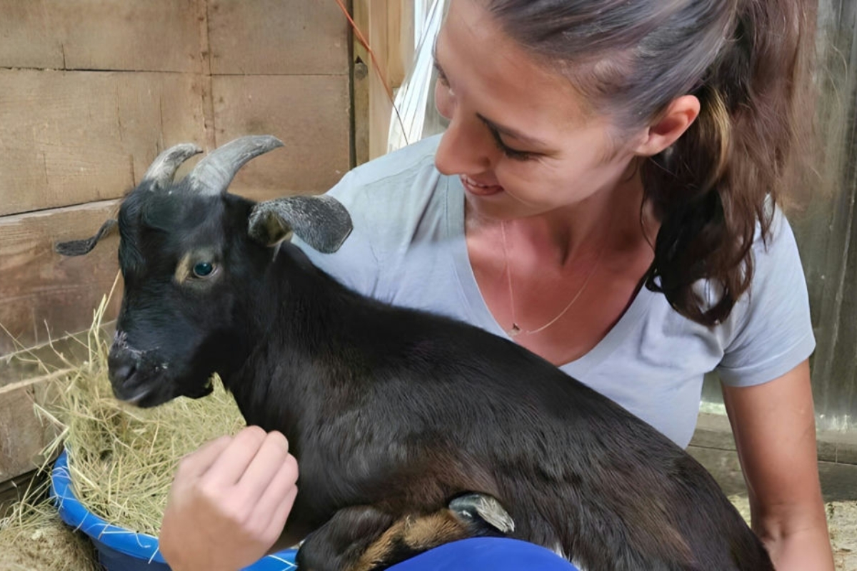 The 11 Most Helpful Animals on Earth—Should You Get One ...
