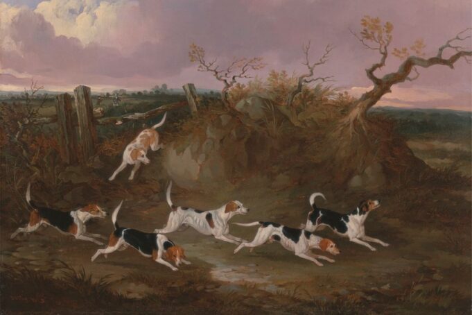 Pets in Colonial America and Why People Needed Them | animalplanethq.com