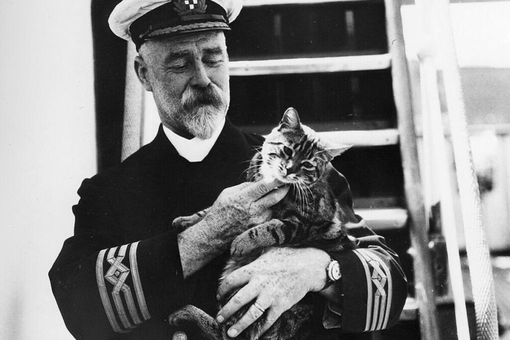 The Tale of Jenny, The Only Cat That Was on Titanic | animalplanethq.com