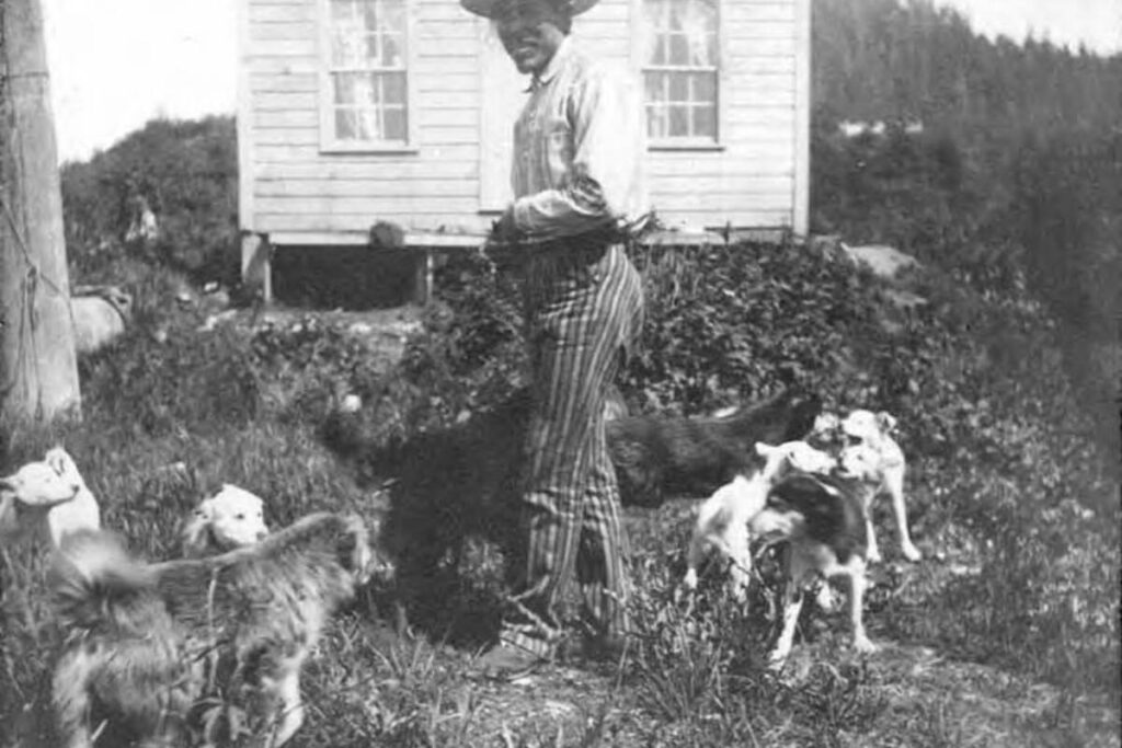 Native American Tribes and Their Relationship with Dogs – Why Did They ...