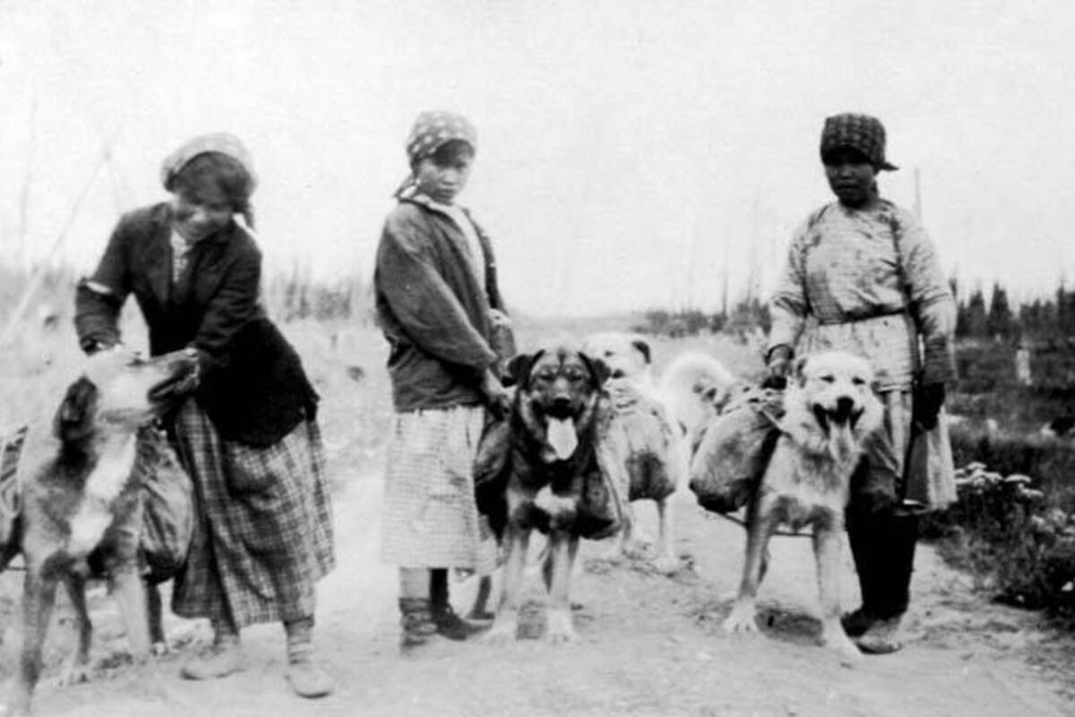 Native American Tribes and Their Relationship with Dogs – Why Did They ...