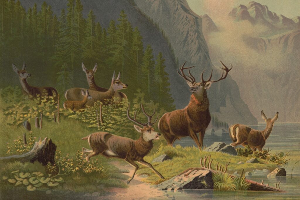 Pets in Colonial America and Why People Needed Them | animalplanethq.com