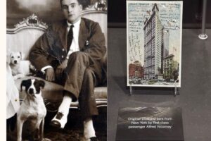 The Tale of Jenny, The Only Cat That Was on Titanic | animalplanethq.com
