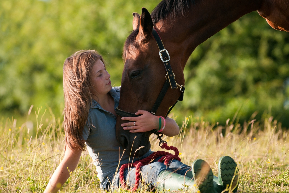 The 11 Most Helpful Animals on Earth—Should You Get One ...