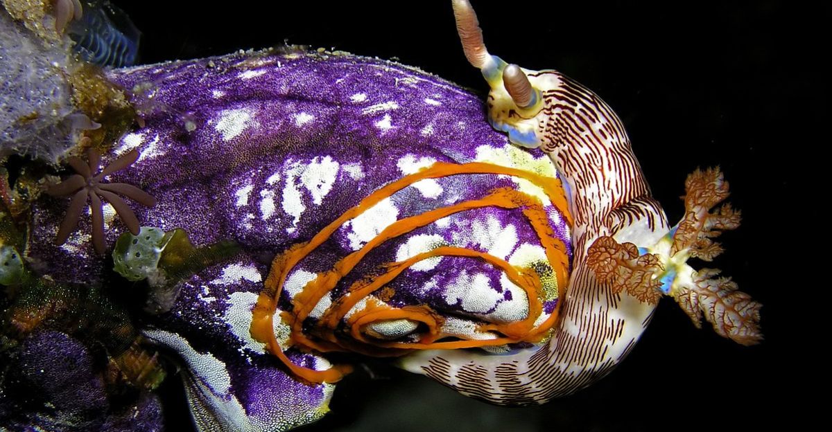 12 Animals With Strikingly Different Blood Colors | animalplanethq.com