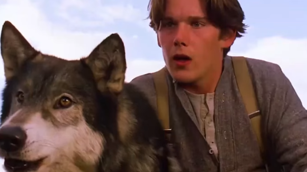 12 Must-Watch Wolf Movies | animalplanethq.com