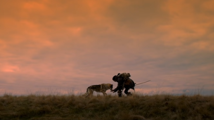 12 Must-Watch Wolf Movies | animalplanethq.com