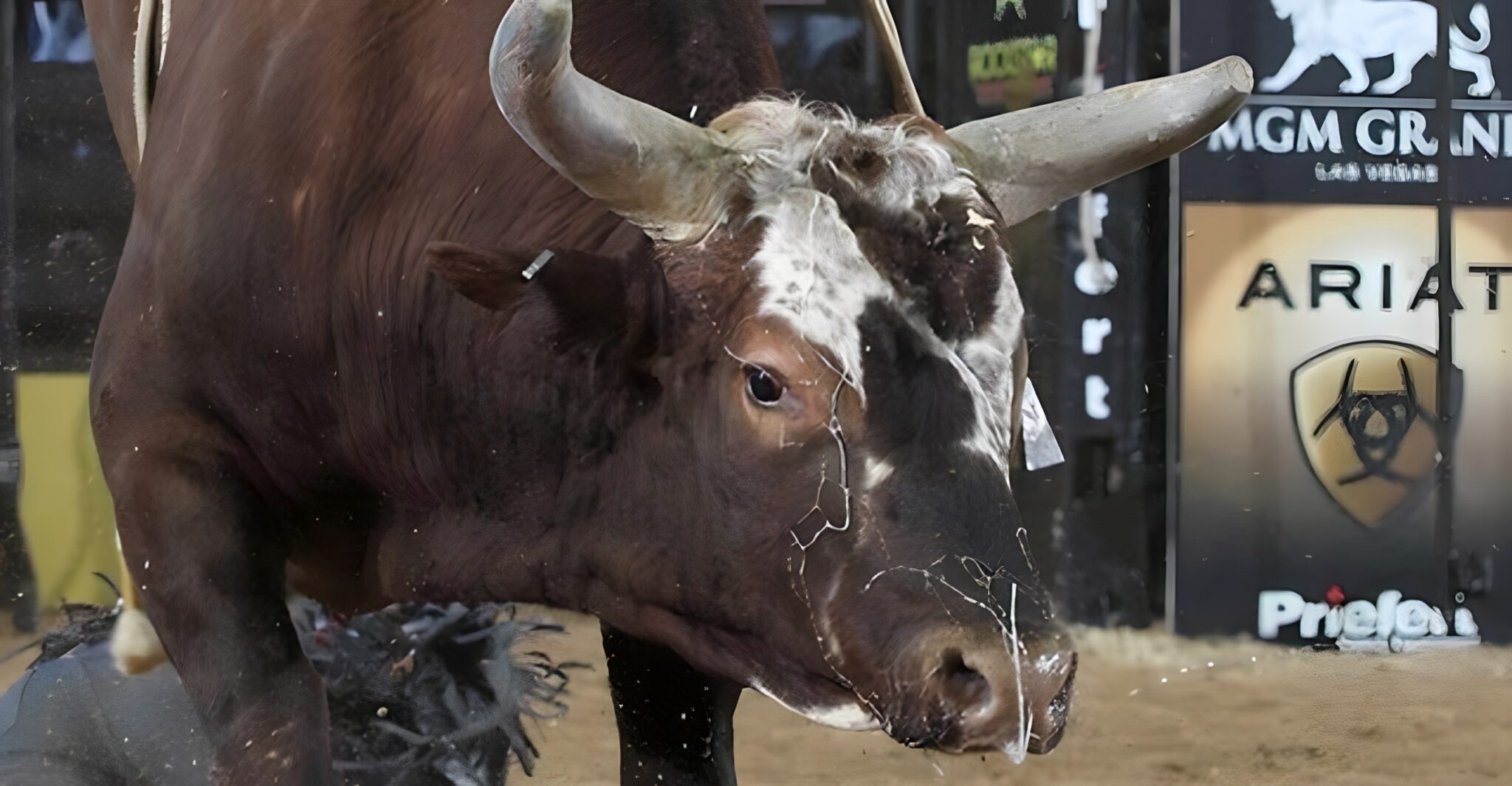 10 Most Expensive Bulls Ever Sold – Every Farmer’s Dream ...