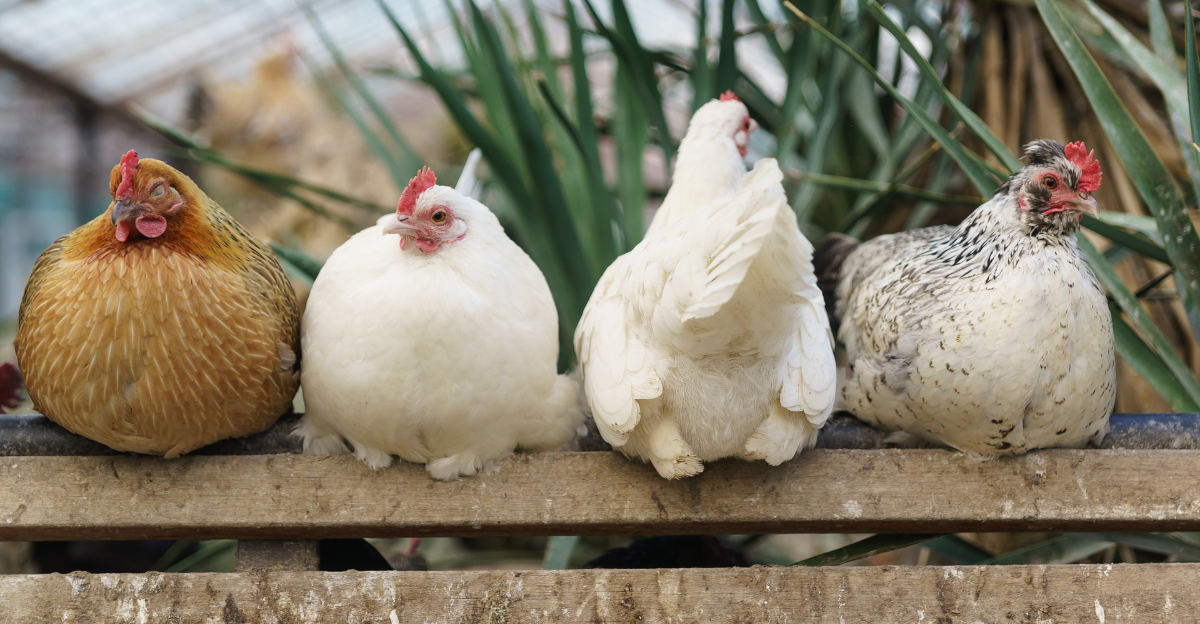 9 Animals That Share the Most DNA With Humans | animalplanethq.com