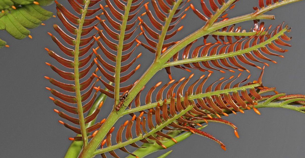 12 Fascinating Ways Plants and Animals Depend on Each Other to Thrive ...