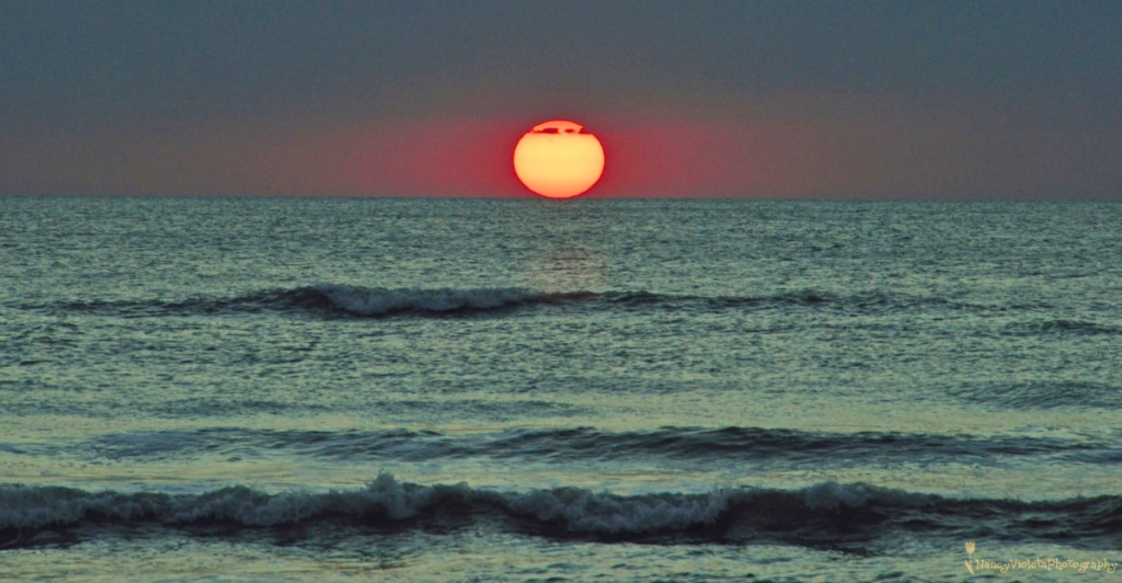 America’s Top 12 Most Breathtaking Beaches | animalplanethq.com