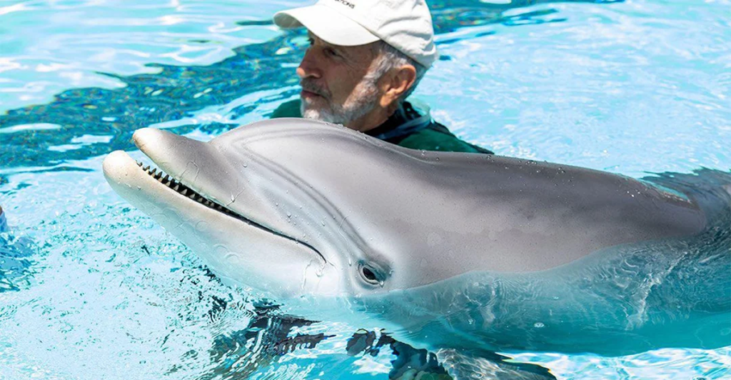 The 10 Most Famous Animal Celebrities of All Time | animalplanethq.com