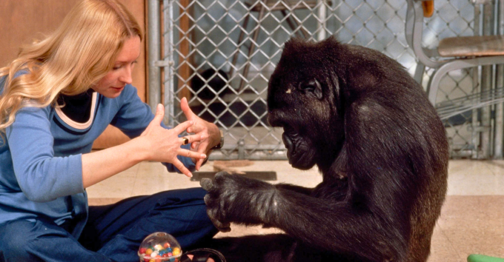 The 10 Most Famous Animal Celebrities of All Time | animalplanethq.com