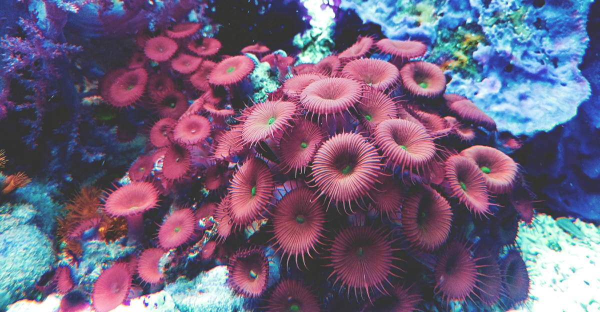 10 Animal Duos Working Together to Survive and What We Can Learn from ...