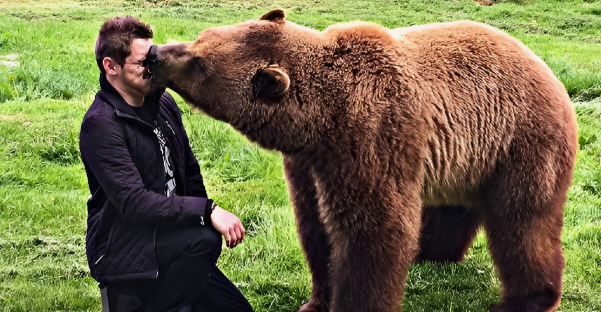 10 Animals That Actively Hunt Humans | animalplanethq.com