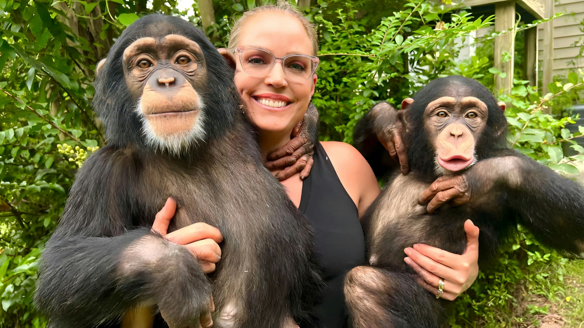 10 Animals That Share Surprising Similarities with Humans – Closest ...