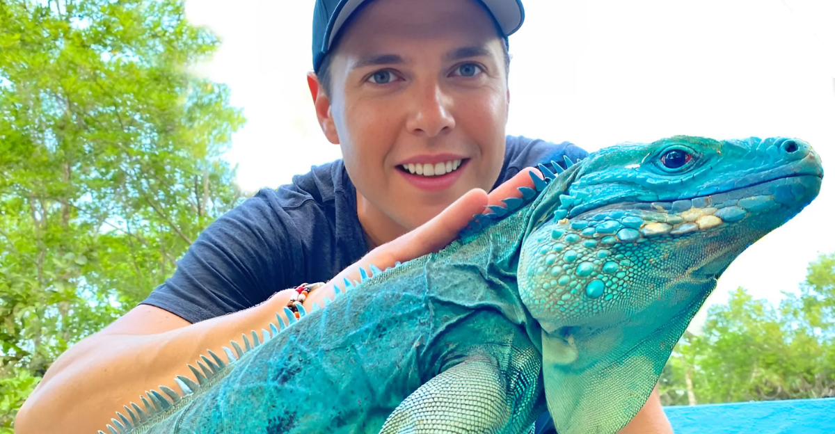 Top 13 Best Giant Pet Lizards You Can Own | animalplanethq.com