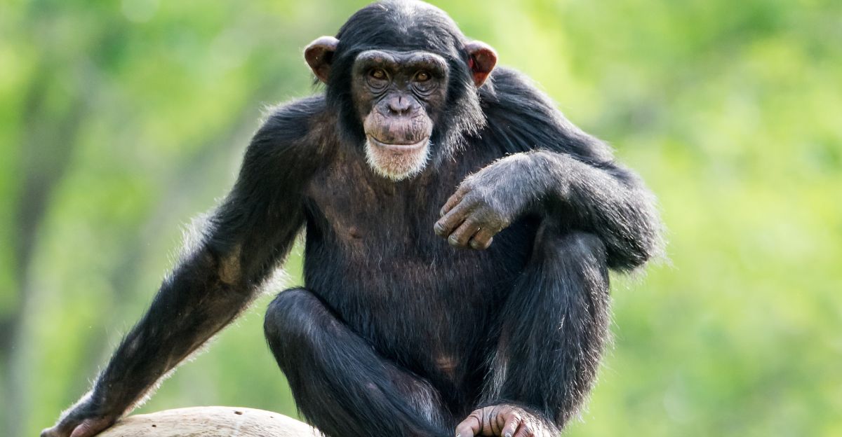 Cannibal Creatures: 11 Animals That Eat Their Own Kind | animalplanethq.com