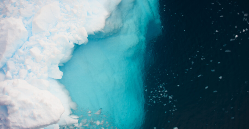 Antarctic Scale Worm: The Deep Sea Nightmare Whose Prey Remains a ...