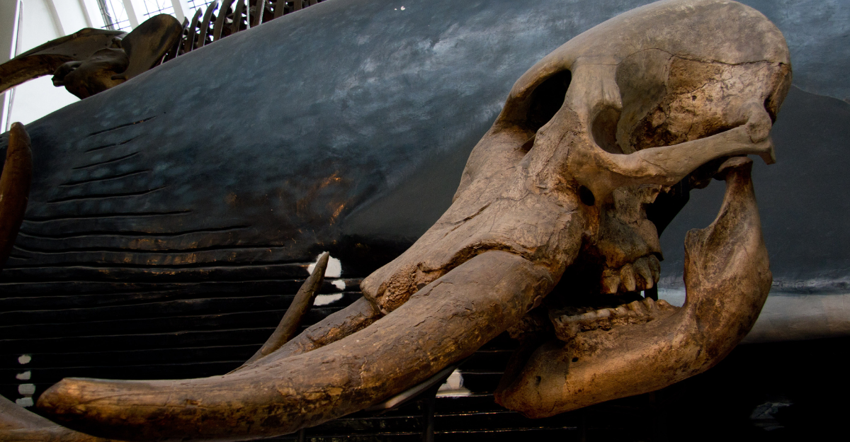 The 12 Real-Life Creatures Behind Famous Mythical Beasts ...