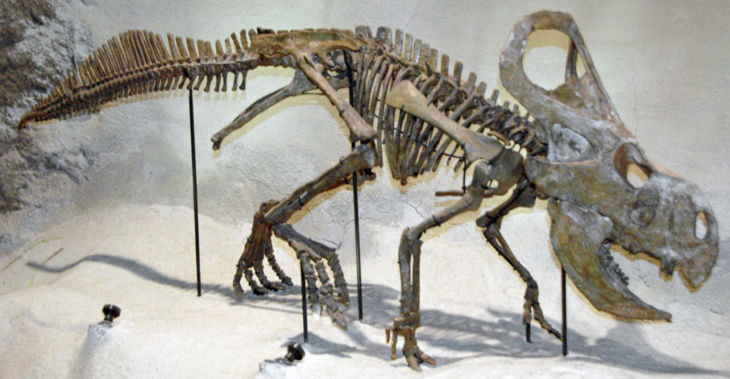 The 12 Real-Life Creatures Behind Famous Mythical Beasts ...