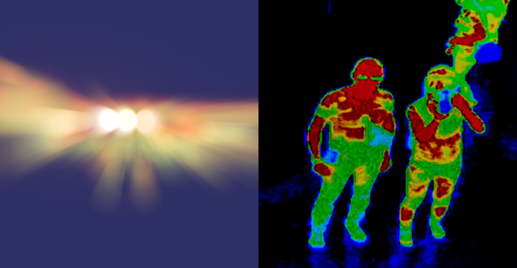 5 Animals That See Infrared: Nature’s Heat-Sensing Superstars ...