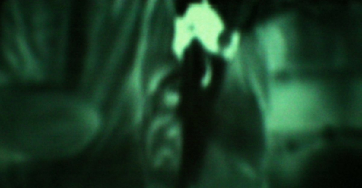 5 Animals That See Infrared: Nature’s Heat-Sensing Superstars ...