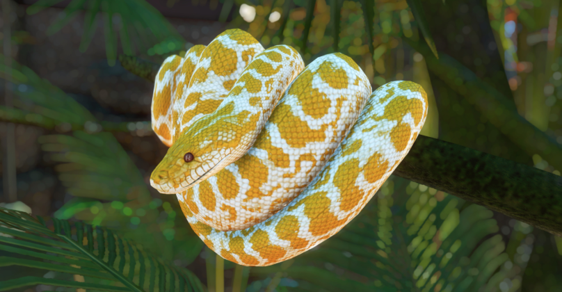 The 8 Strongest Snakes on Earth and Where to Find Them | animalplanethq.com