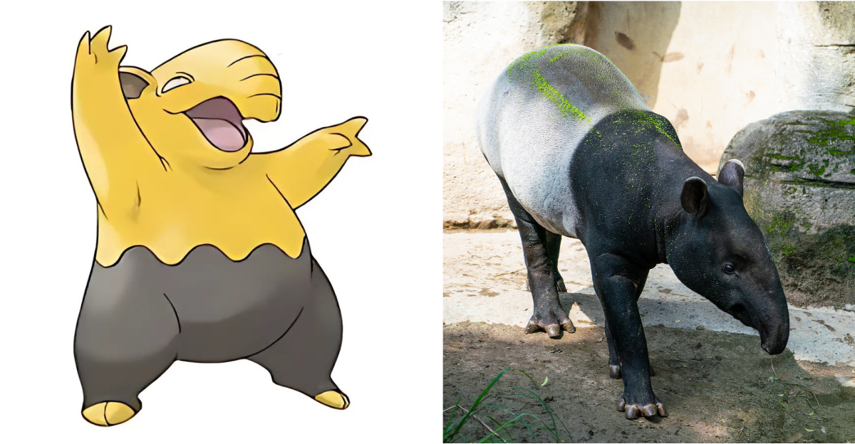 12 Pokémon Characters Based on Real Wild Animals—Meet Their Fascinating ...