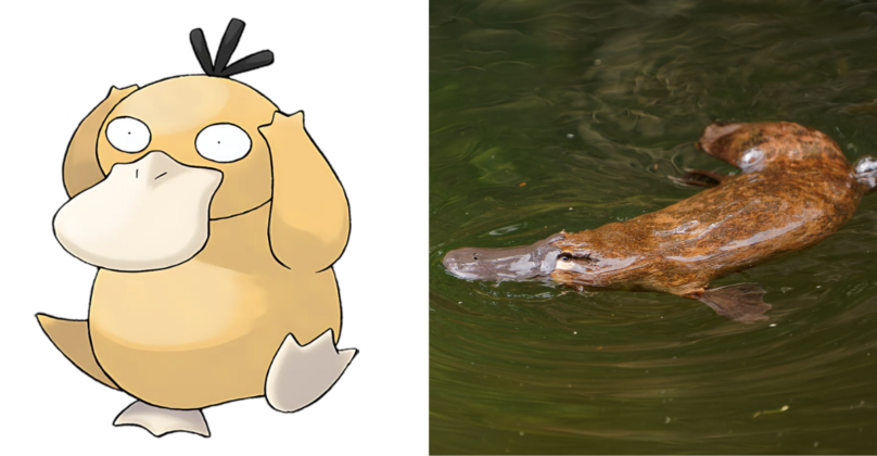 12 Pokémon Characters Based on Real Wild Animals—Meet Their Fascinating ...