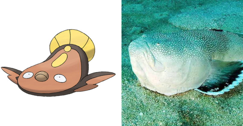 12 Pokémon Characters Based on Real Wild Animals—Meet Their Fascinating ...