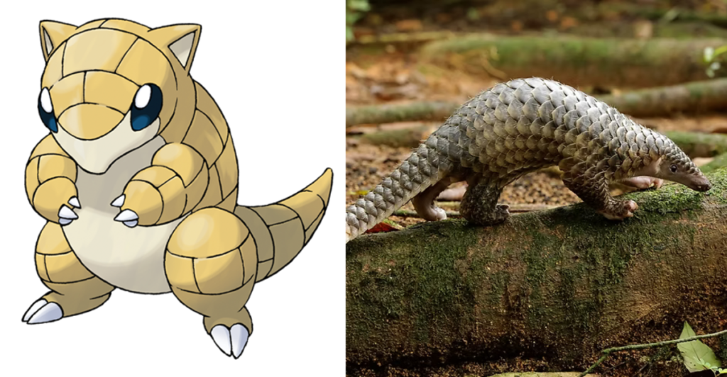 12 Pokémon Characters Based on Real Wild Animals—Meet Their Fascinating ...
