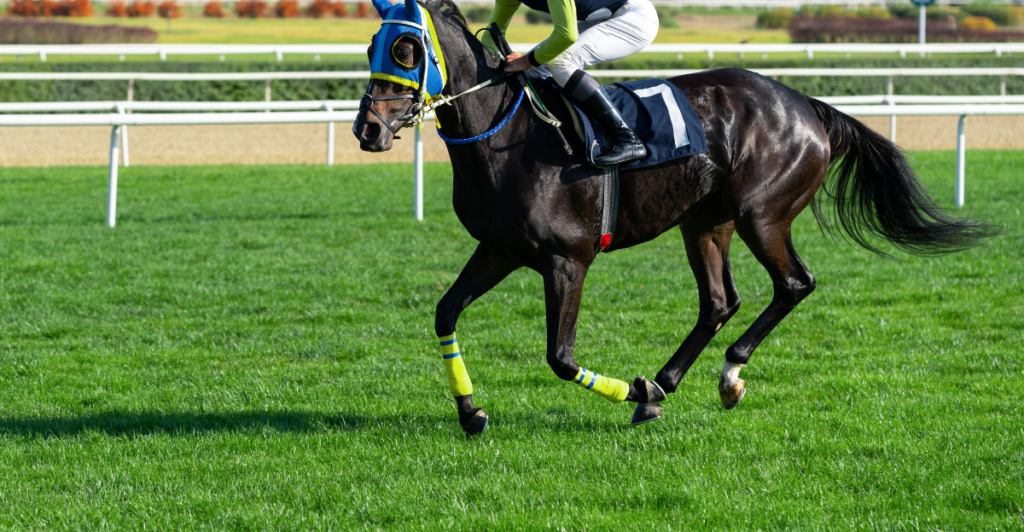 12 Horses Worth More Than A Luxury Yacht | animalplanethq.com