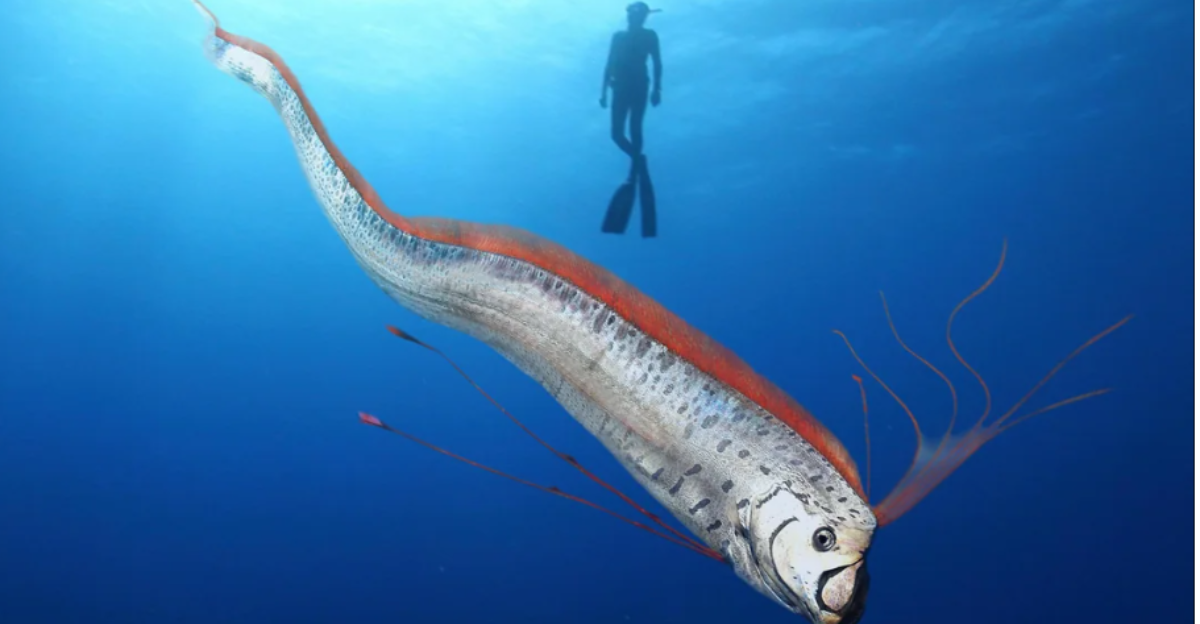 The 12 Real-Life Creatures Behind Famous Mythical Beasts ...