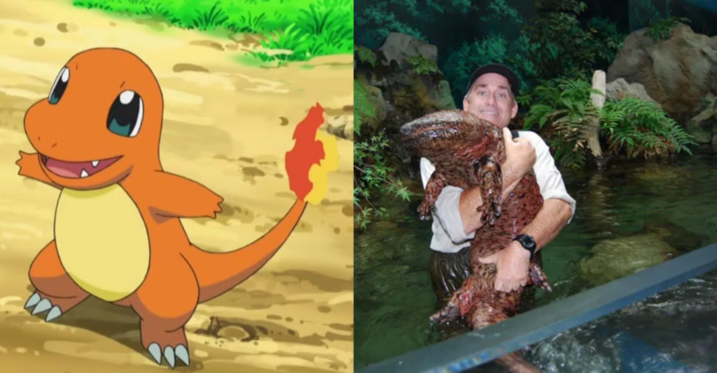 12 Pokémon Characters Based on Real Wild Animals—Meet Their Fascinating ...