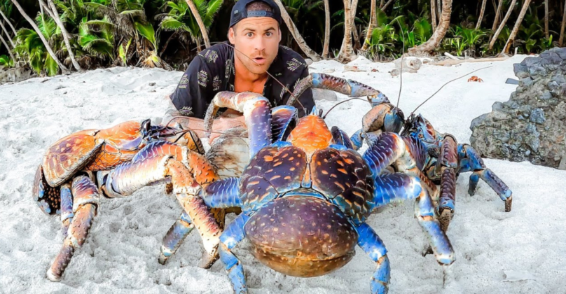 Why Nature Keeps Turning Creatures Into Crabs | animalplanethq.com