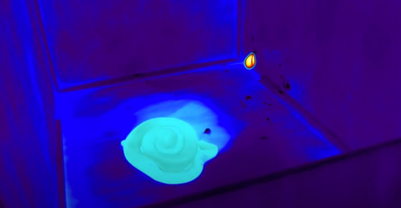 5 Animals That See Infrared: Nature’s Heat-Sensing Superstars ...