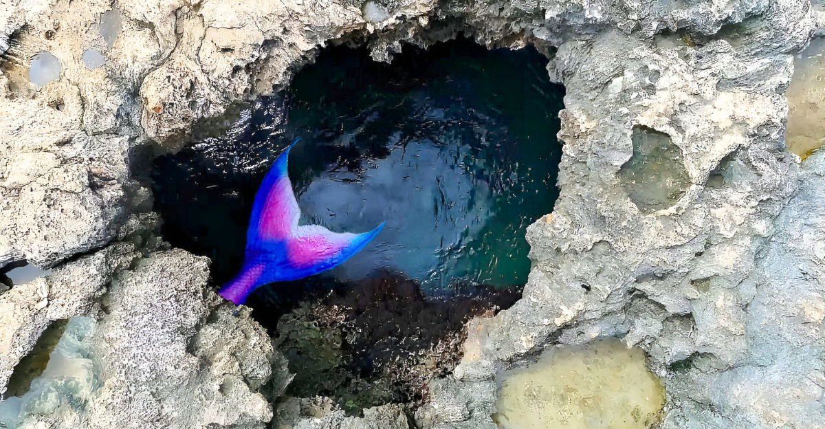 The 12 Real-Life Creatures Behind Famous Mythical Beasts ...