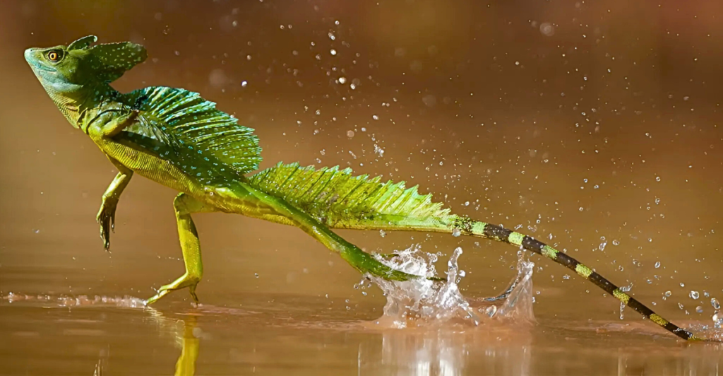12 Animals With Incredible Abilities That Make Them Nature’s ...