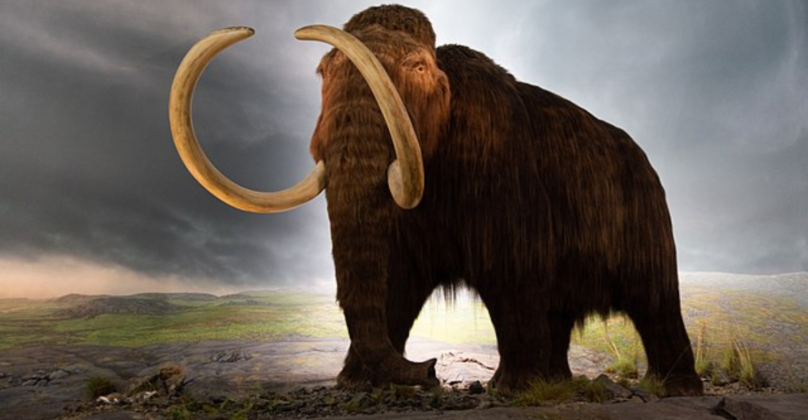 10 Extinct Animals Scientists Are Trying to Revive | animalplanethq.com