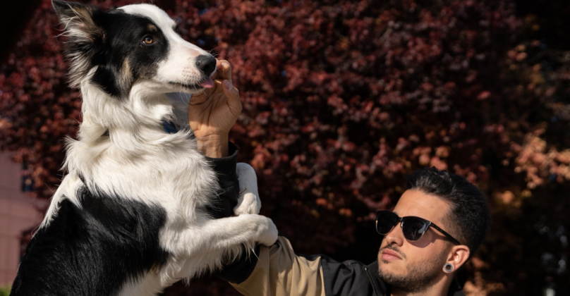 Do Dogs Really Look Like Their Owners? Science Has the Answer ...