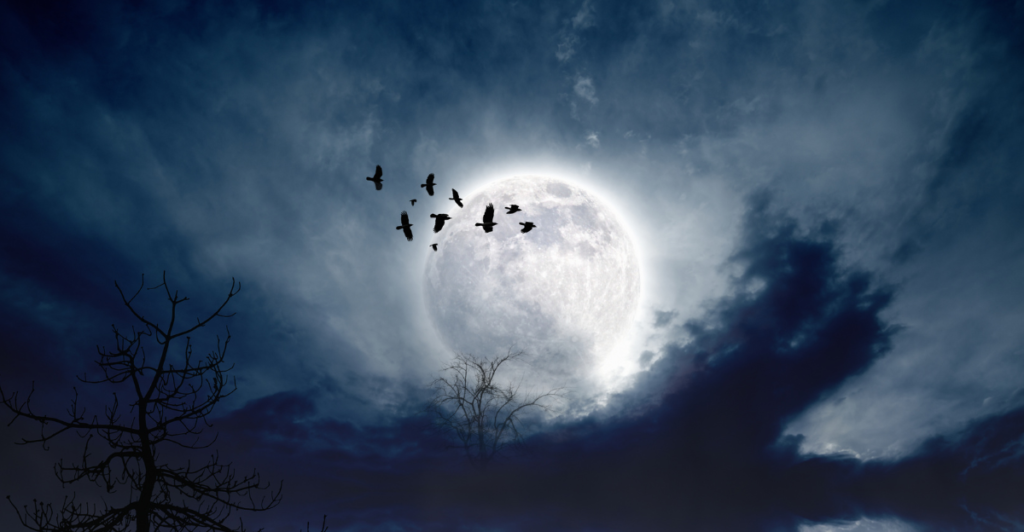 13 Strange and Fascinating Ways Animals Behave During Full Moons ...