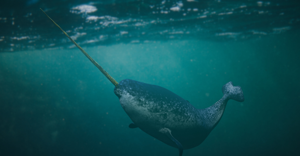 14 Goofy Looking Animals That Are as Bizarre as They Are Real ...