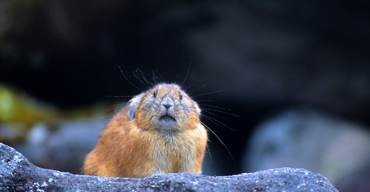 13 Largest Underground Creatures On Earth | animalplanethq.com