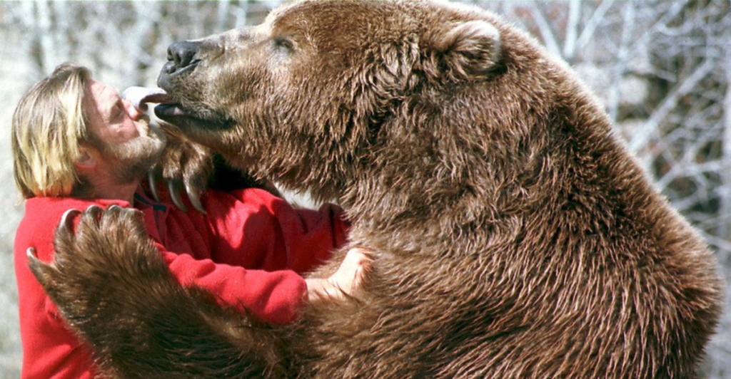 10 Famous Bears That Made Their Mark on History | animalplanethq.com