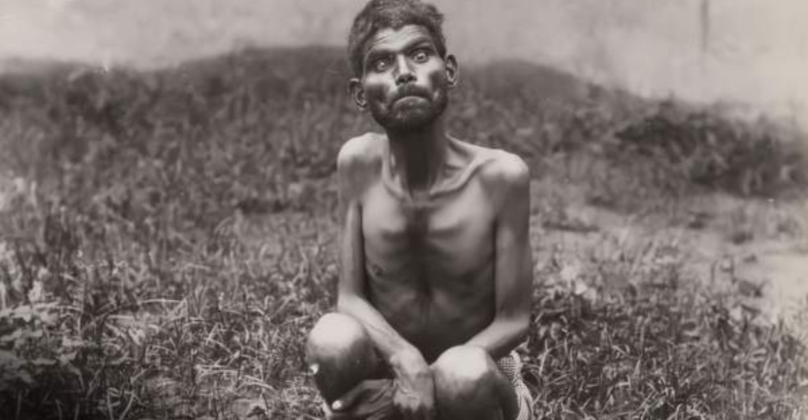 The Wild Truth About Feral Children: Raised by Wolves and Other ...