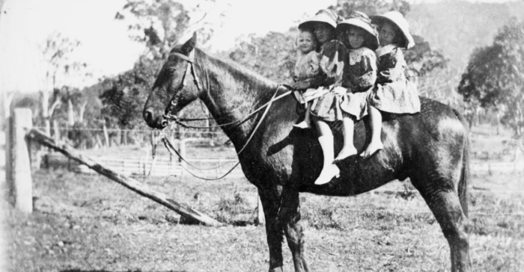 10 Times Animals Changed the Course of Human History | animalplanethq.com