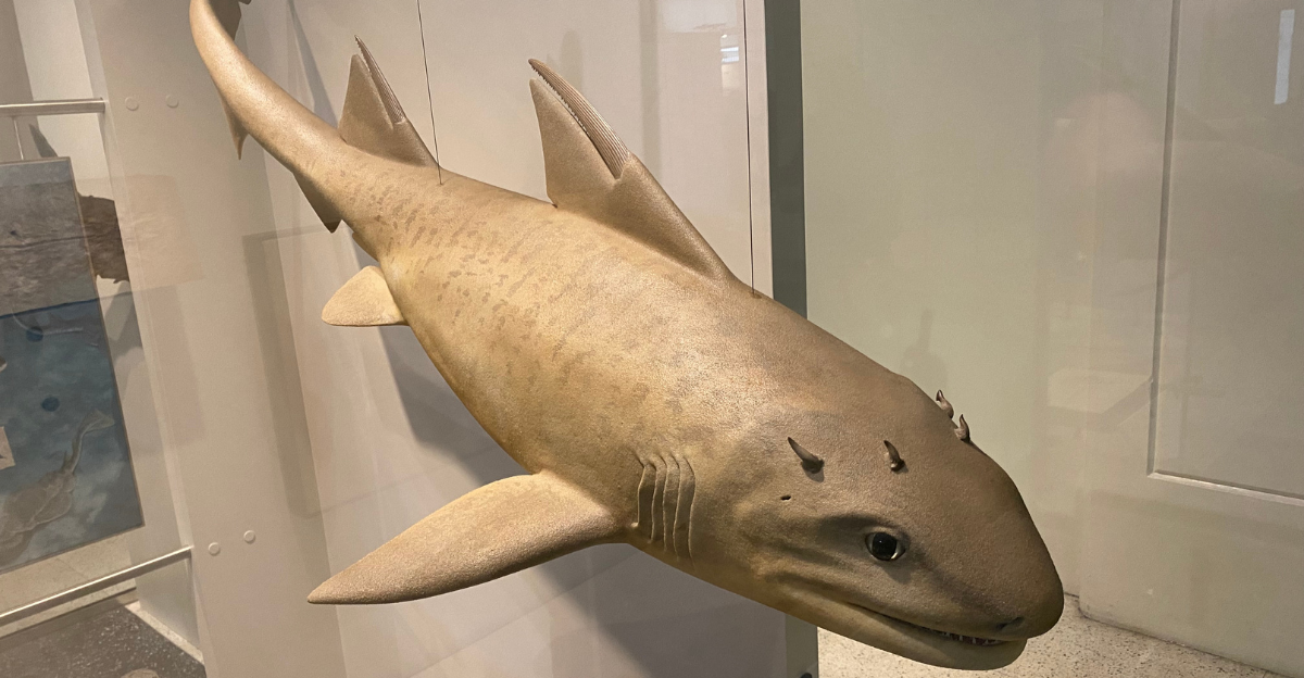 10 Now Extinct Sharks That Ruled the Oceans Before Vanishing ...