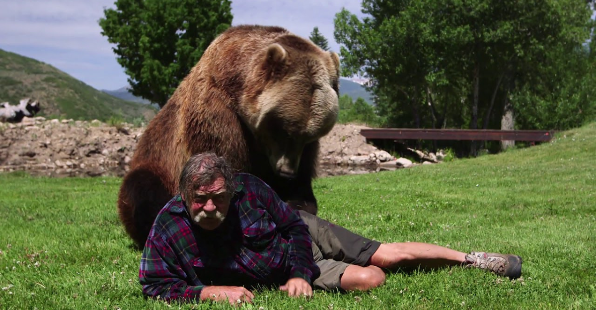 10 Famous Bears That Made Their Mark on History | animalplanethq.com